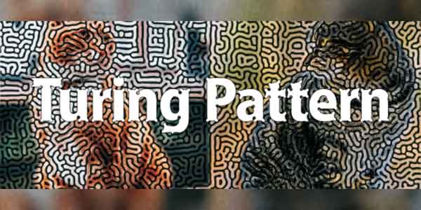 پلاگین افترافکت Turing Pattern | گـــــرافیکو
